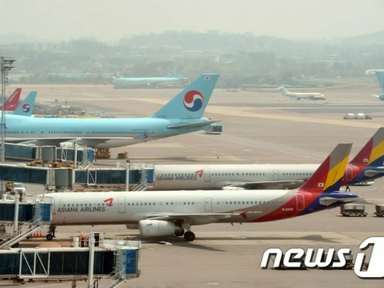 大韓航空・アシアナ航空、LCCの勢いに長距離路線で対抗 | wowKorea（ワウコリア）
